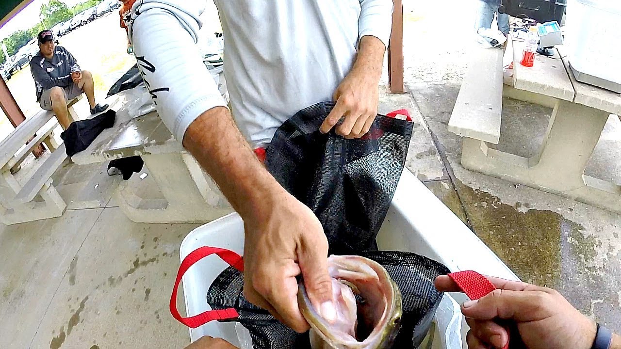 Pro saves entire fishing tournament during rollercoaster day