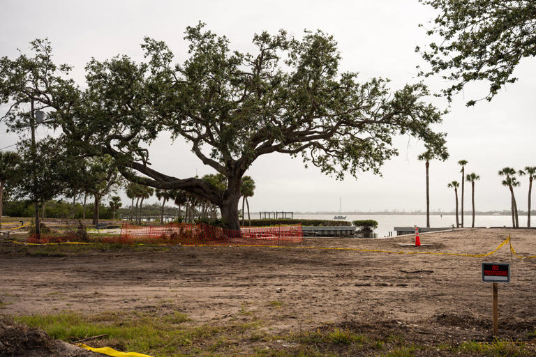 Lemon Bay Sunrise Rotary Club seeks donations for Light Up Lemon Bay ...