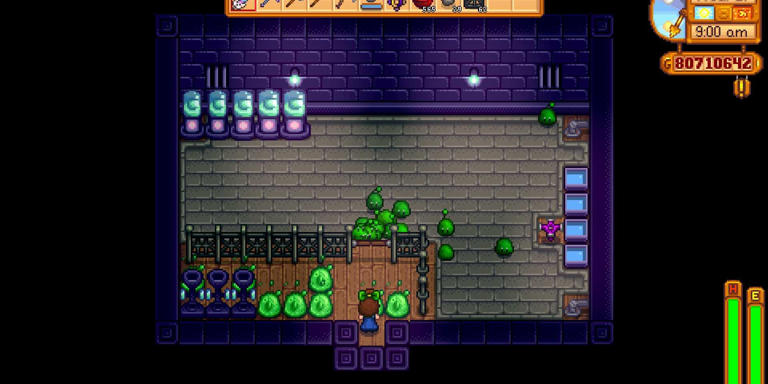 Stardew Valley: Slime Hutch Complete Guide