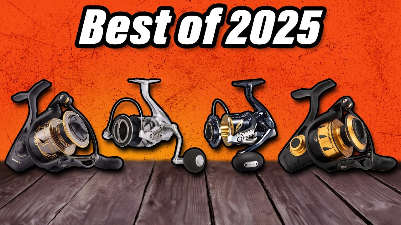 8 Best Fishing Reels 2025 - Budget, Lightweight, Baitcasting, & Heavy Duty!