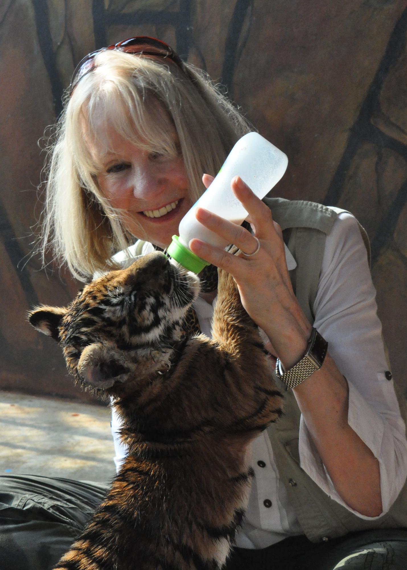 Pollyanna Pickering Foundation – 25th Anniversary Exhibition