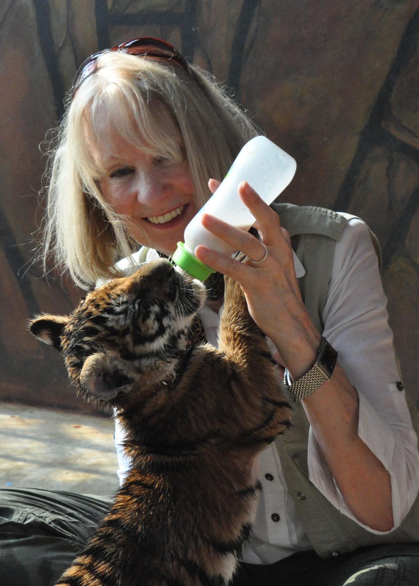 Pollyanna Pickering Foundation – 25th Anniversary Exhibition