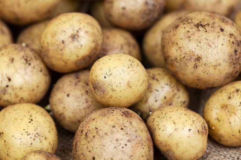 Your potatoes will have much longer shelf life if you use chef's 'old ...