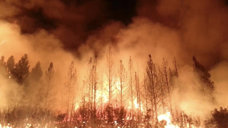 Wildfires in Canada are burning out of control. Again.