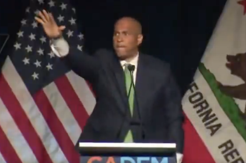 Elon Musk and MAGA fans lose their mind over Cory Booker 'Nazi salute'