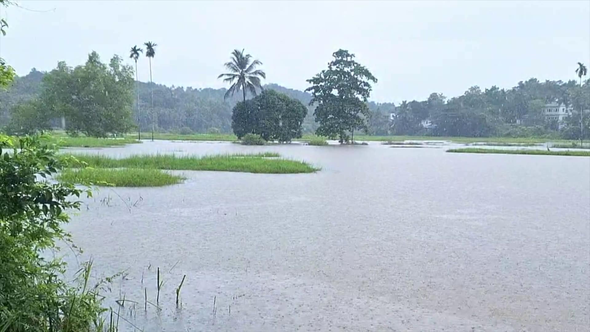 Wayanad tourist spots reopen as Kerala monsoon sees a lull