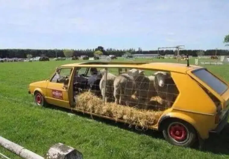 Creative DIY Limousines That Show Anything Can Become a Limo