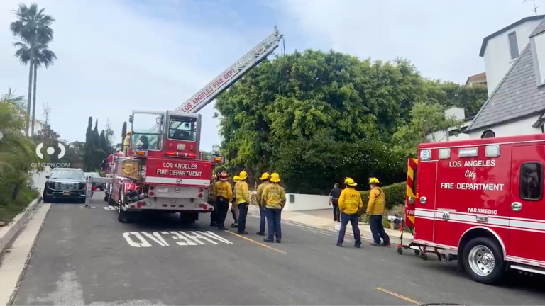 Man experiences medical distress while stuck in a tree in Hollywood Hills