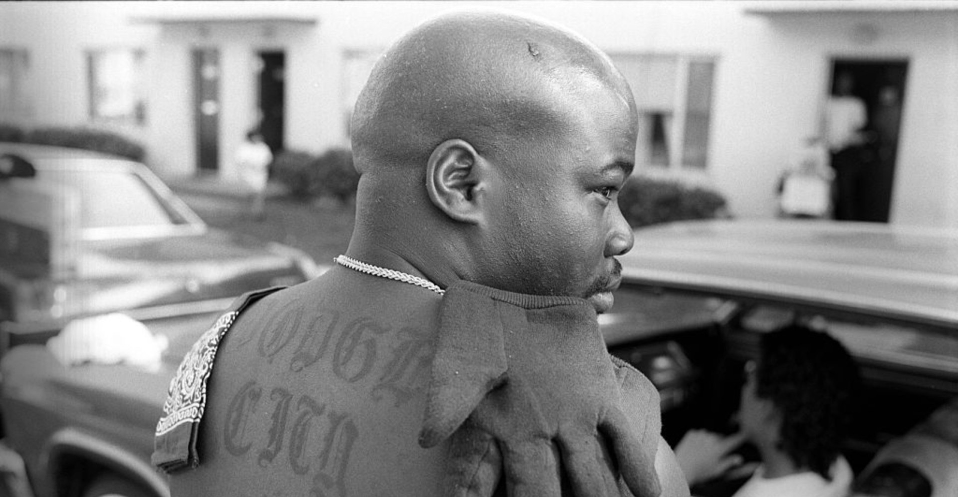 History's most feared street gangs