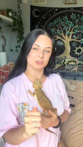 Top Bearded Dragon Care Tips Must-Know for Reptile Moms Lucy the Dragon