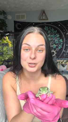 Live Love Brenda Tips for a Fulfilling Life