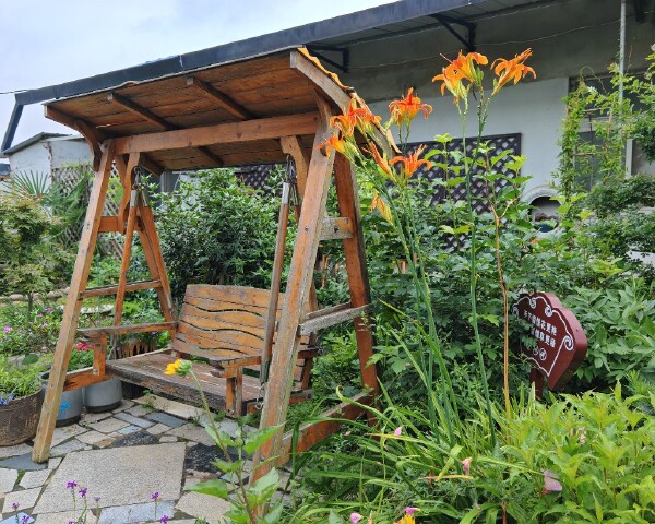 Trump withdraws nomination of Musk ally to lead NASA