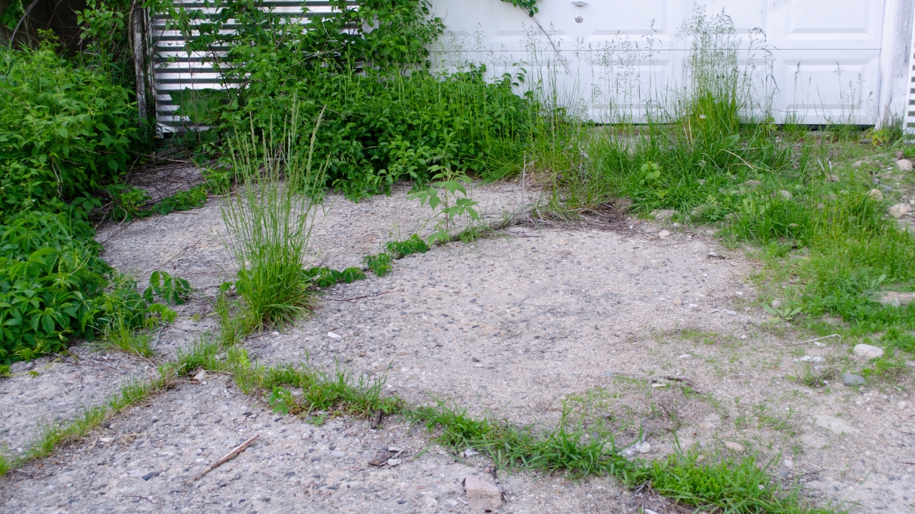 10 Things That Make Your Driveway Look Run-Down