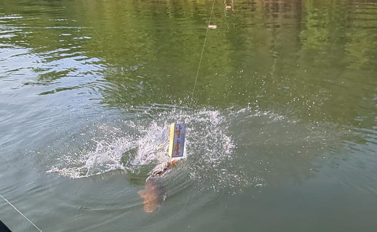 Virginia group helps families create lifetime memories through fishing