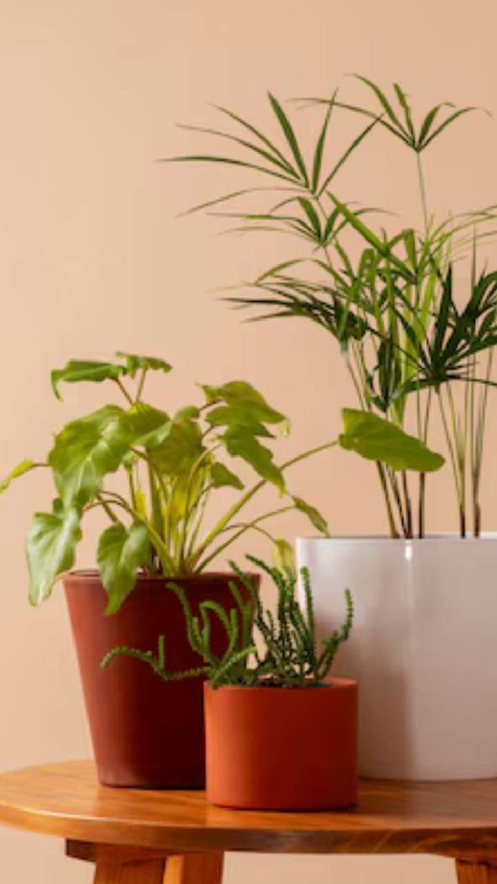 The untraceable weapons known as ghost guns