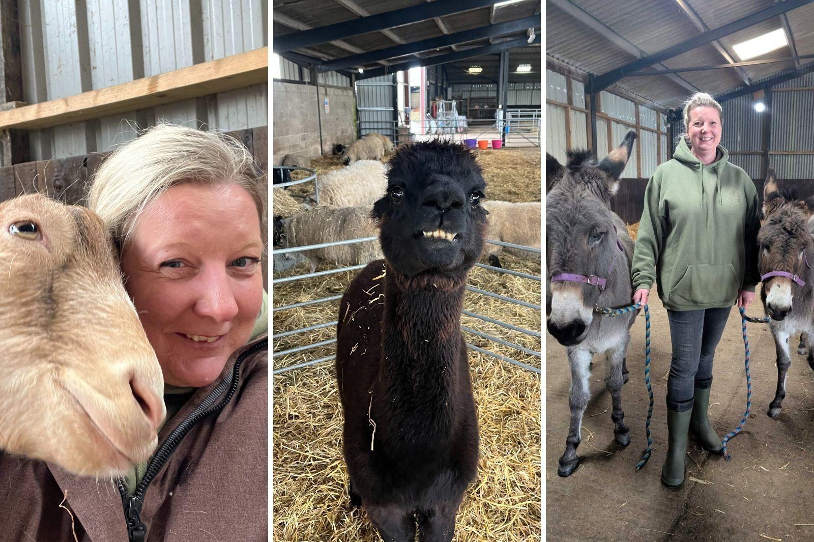 Student's Animal Antiks place occupational therapy in a farm setting
