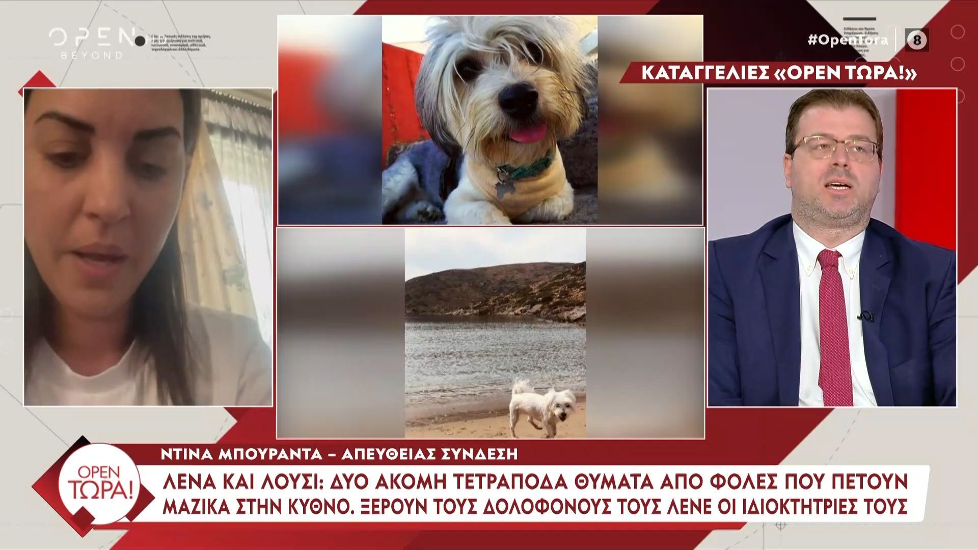 Κύθνος | Λ. Μανδανισιώτη: «Το δηλήτηριο ήταν τόσο ισχυρό που τα ...