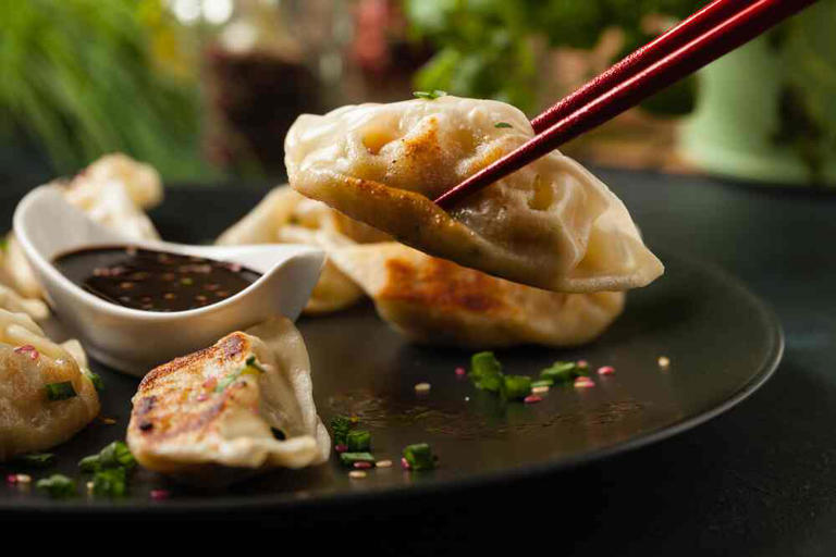 Delicious Gyoza in Pune: A Dumpling Love Affair You Can’t Resist
