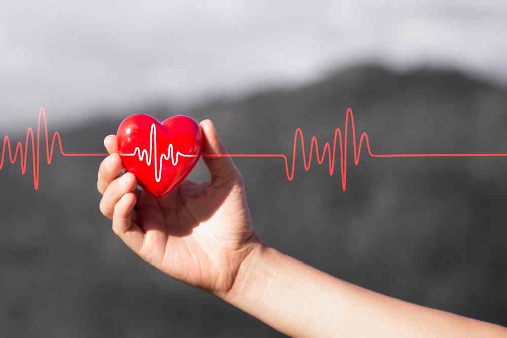 Endocarditis: Meaning, Types, Symptoms, Causes, Diagnosis and Treatment