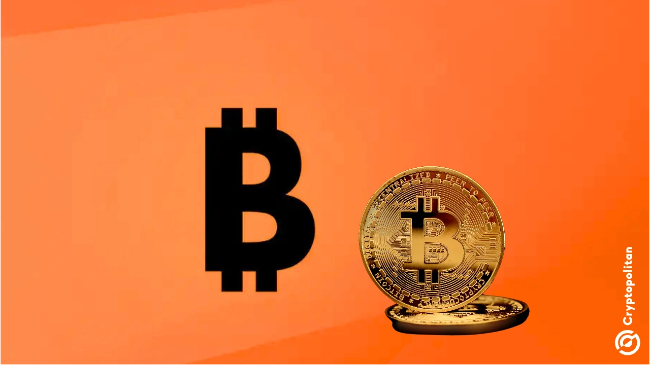 Michael Saylor's Strategy's buys 705 Bitcoins, portfolio now holds ...