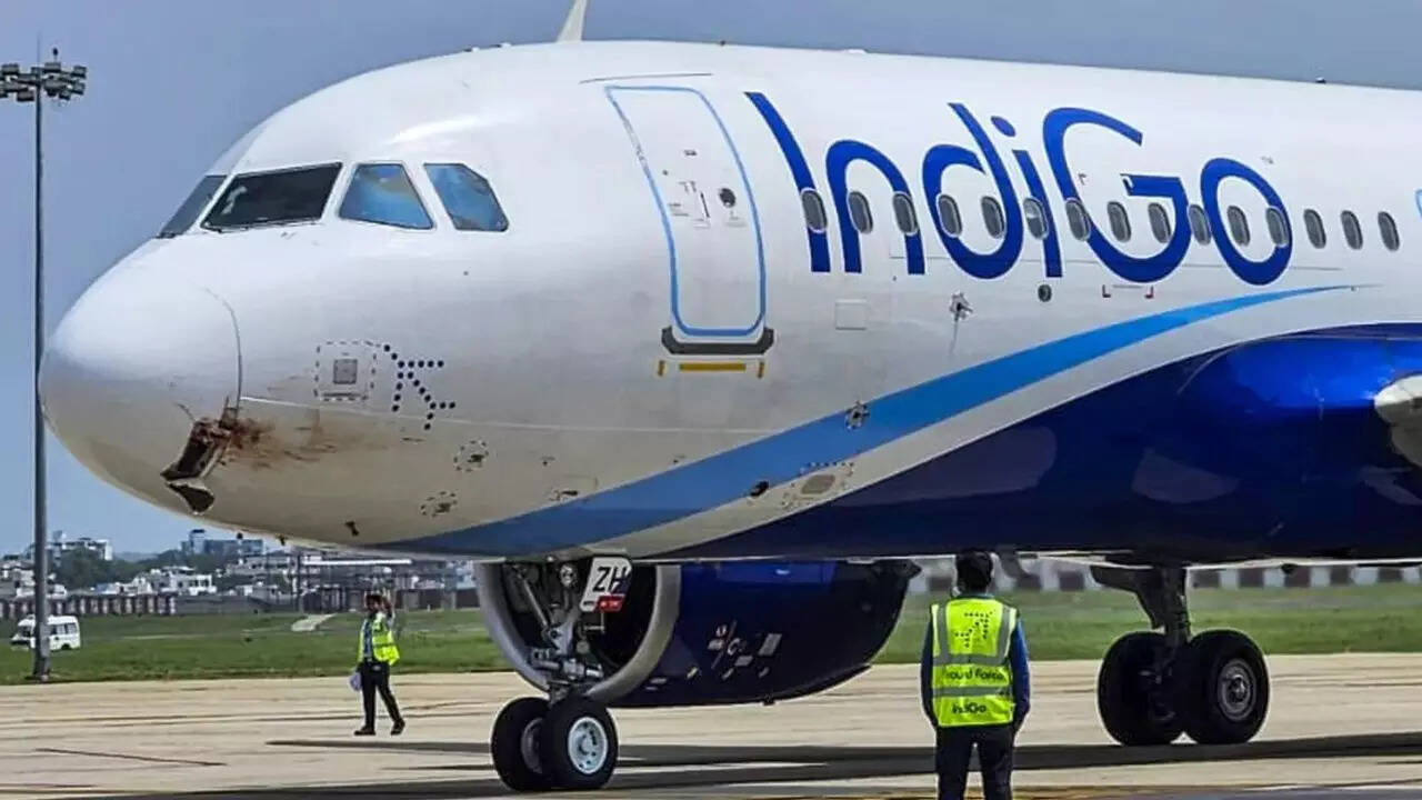 IndiGo flight hit by vulture at 4,000 feet, makes emergency landing in ...