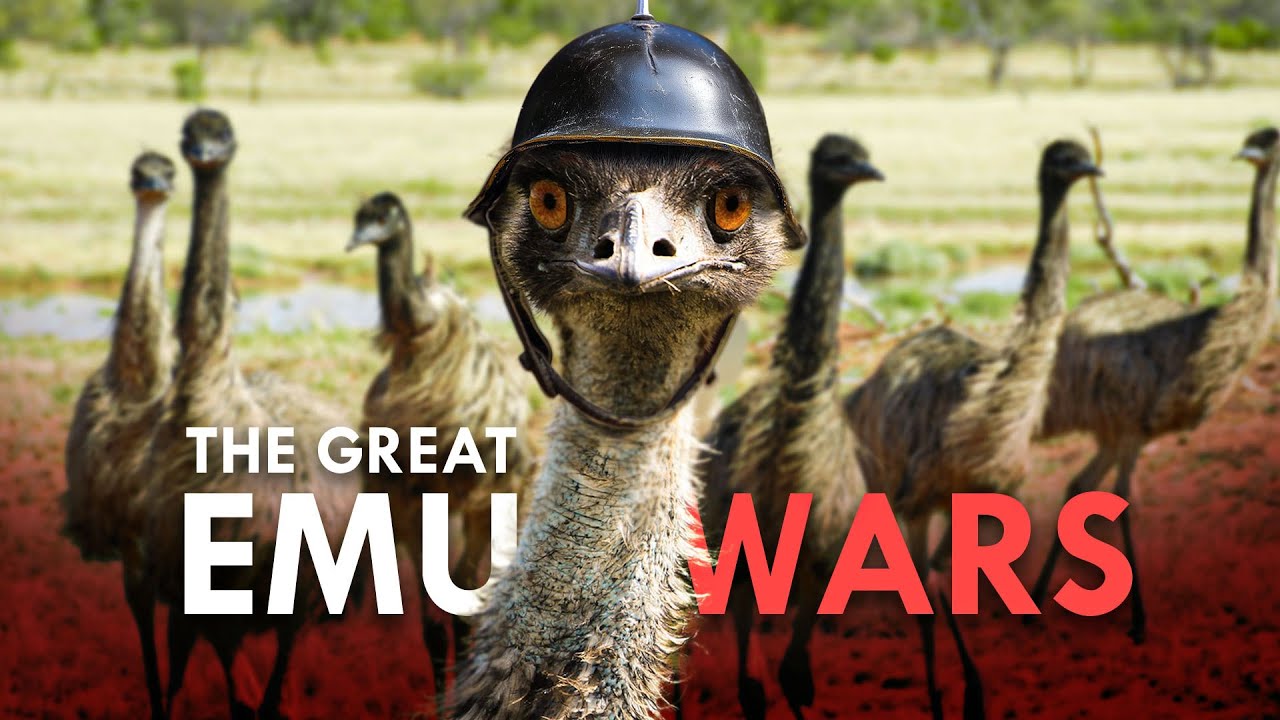When Emus Took on the Australian Army and Won
