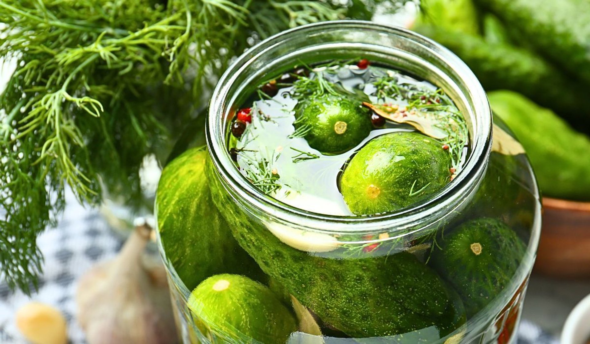 To najgorszy koper do kiszenia ogórków. Przetwory wyjdą paskudnie gorzkie