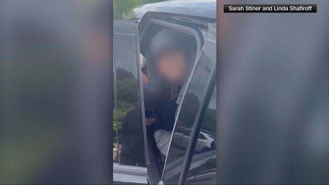 Video shows ICE agents detaining a gardener while at work in Great ...