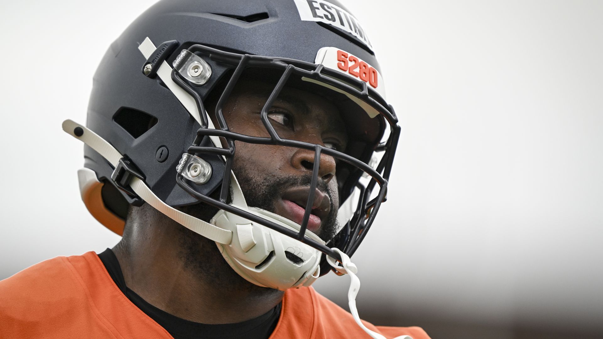 Horse Tracks: The Broncos Estime enigma