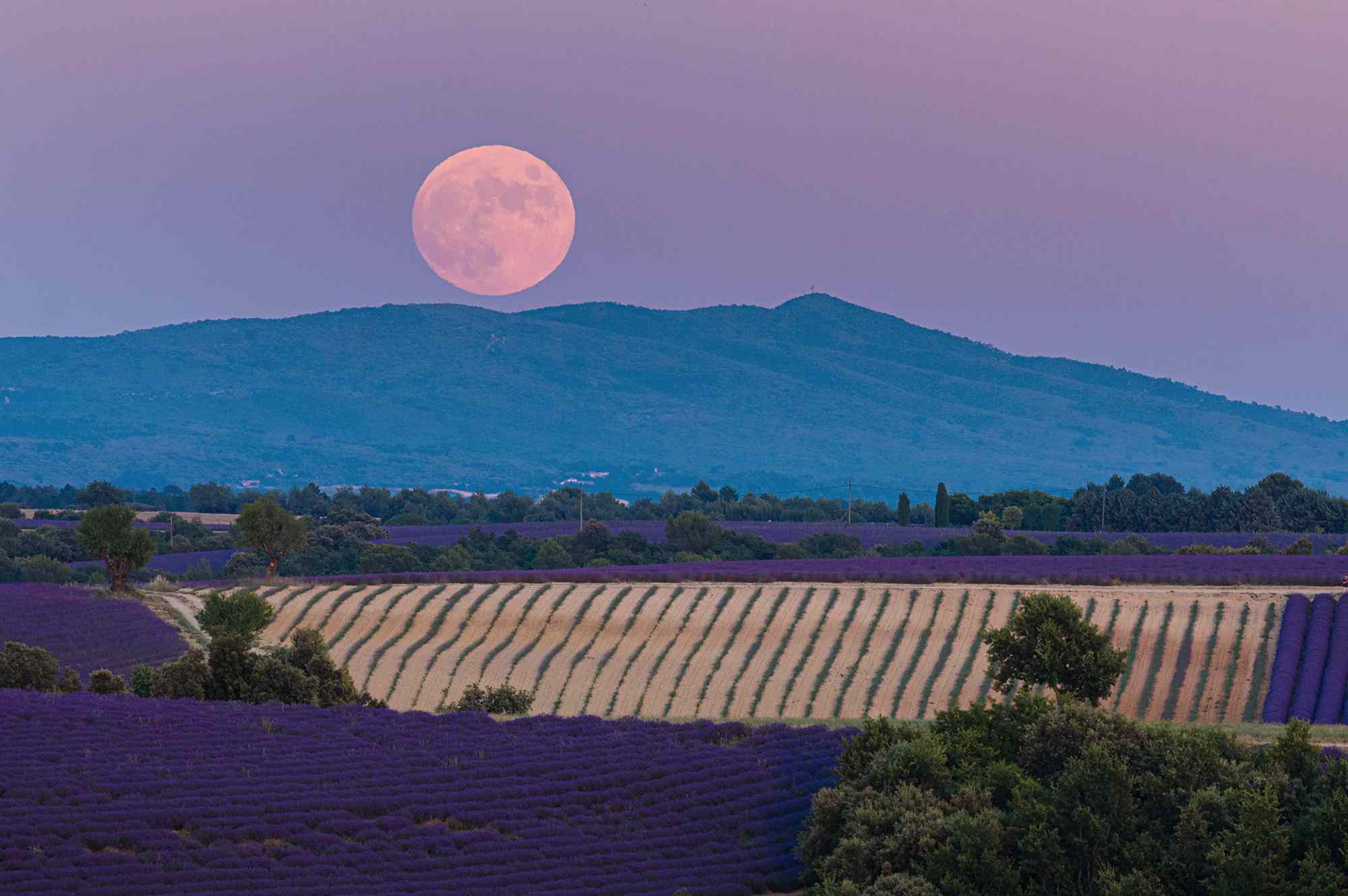 7 Must-see Astro Events in the Night Sky You Won't Want to Miss This June