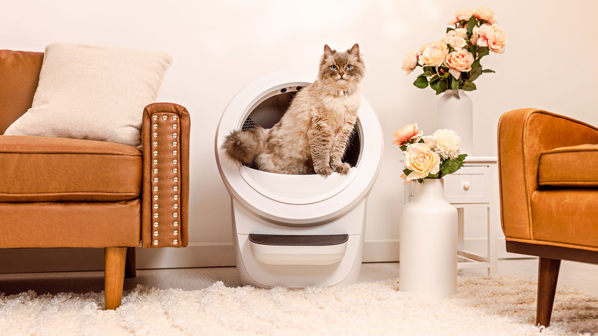 I didn’t just stop scooping poop with the Litter Robot 4, it kept my ...