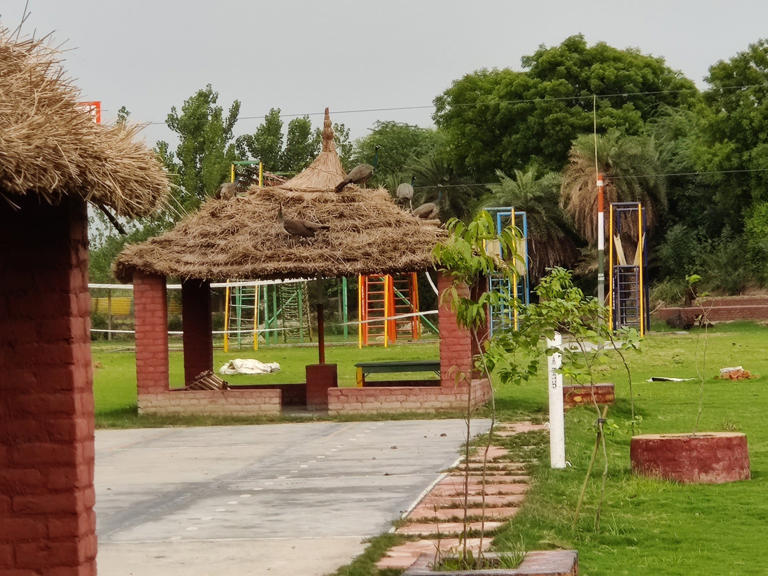 Serene Farm Retreats Near Delhi - Unwind with Cute Farm Animals