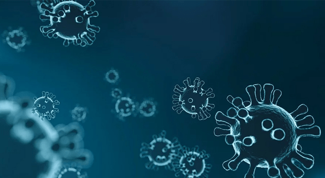 Moderna Shares Climb After FDA Approval of Next-Gen COVID-19 Vaccine