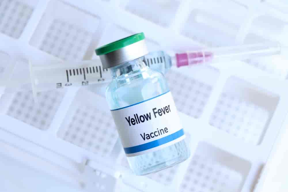 Yellow Fever: Causes, Symptoms, Diagnosis, Treatment, and Prevention