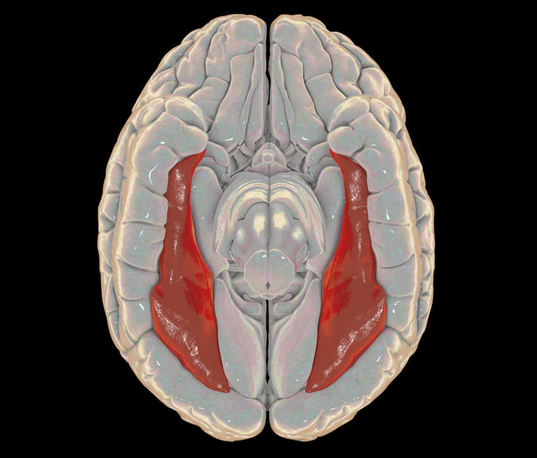 How are you able to read words without vowels?