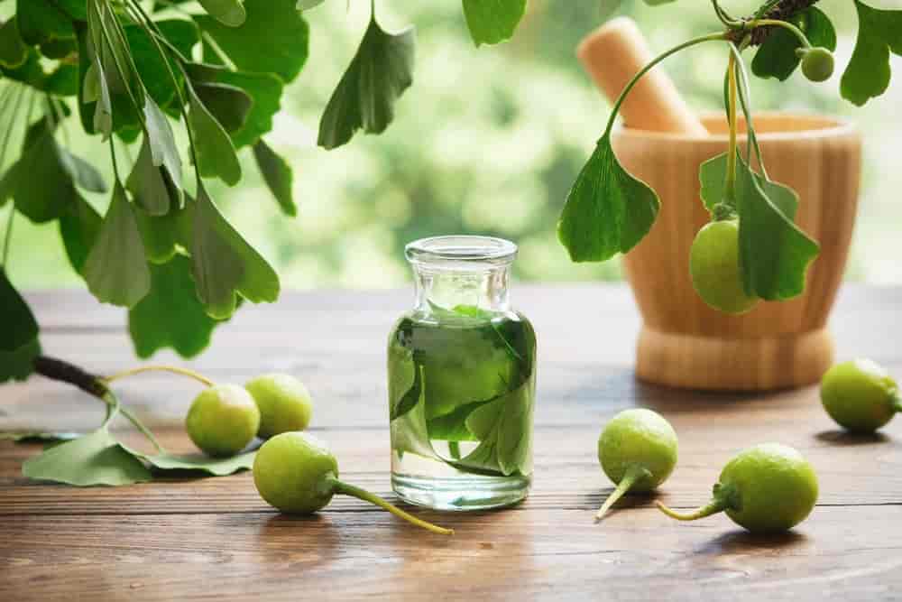 Why Take Ginkgo Biloba? Uses, Side Effects, and Safe Dosage