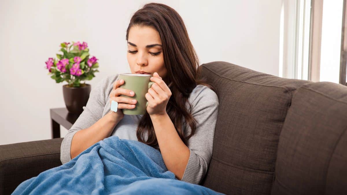 Sip Your Worries Away with These 15 Herbal Teas That Help You Relax