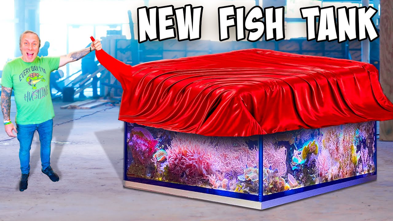 First Look at My Nearly Finished 27,000-Gallon Tank!