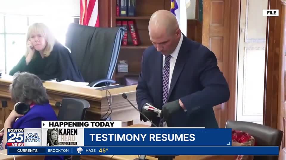 Live video, updates: Dog bite expert testifying in Karen Read’s retrial