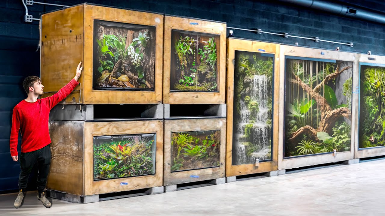 New Home for Reptiles: Stunning Zoo Exhibit Tour