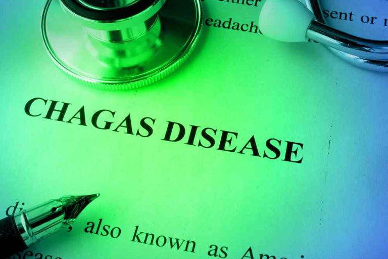 Chagas Disease: Causes, Symptoms, Treatment and Prevention