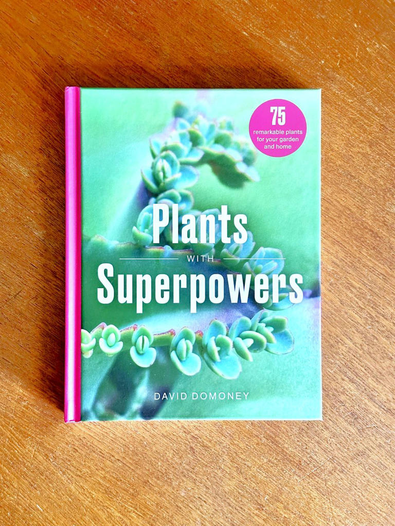 My Thoughts On Plants with Superpowers for your Garden and Home