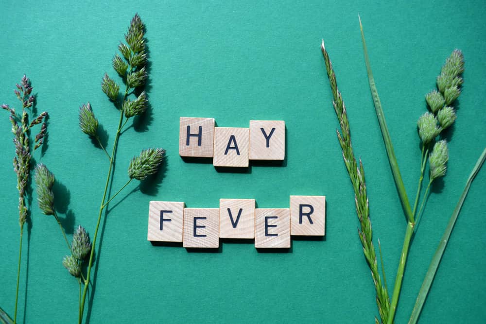 Understanding Hay Fever and How to Manage It