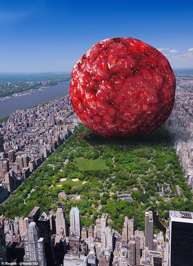 Scientist reveals size of MEATBALL made from entire human race ...