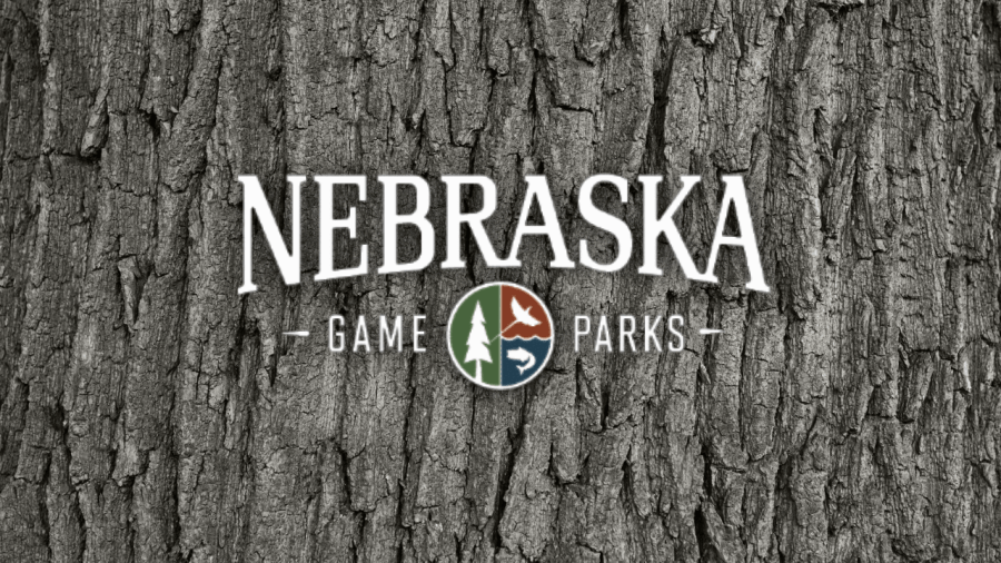 Upland bird hunting numbers looking up in Nebraska