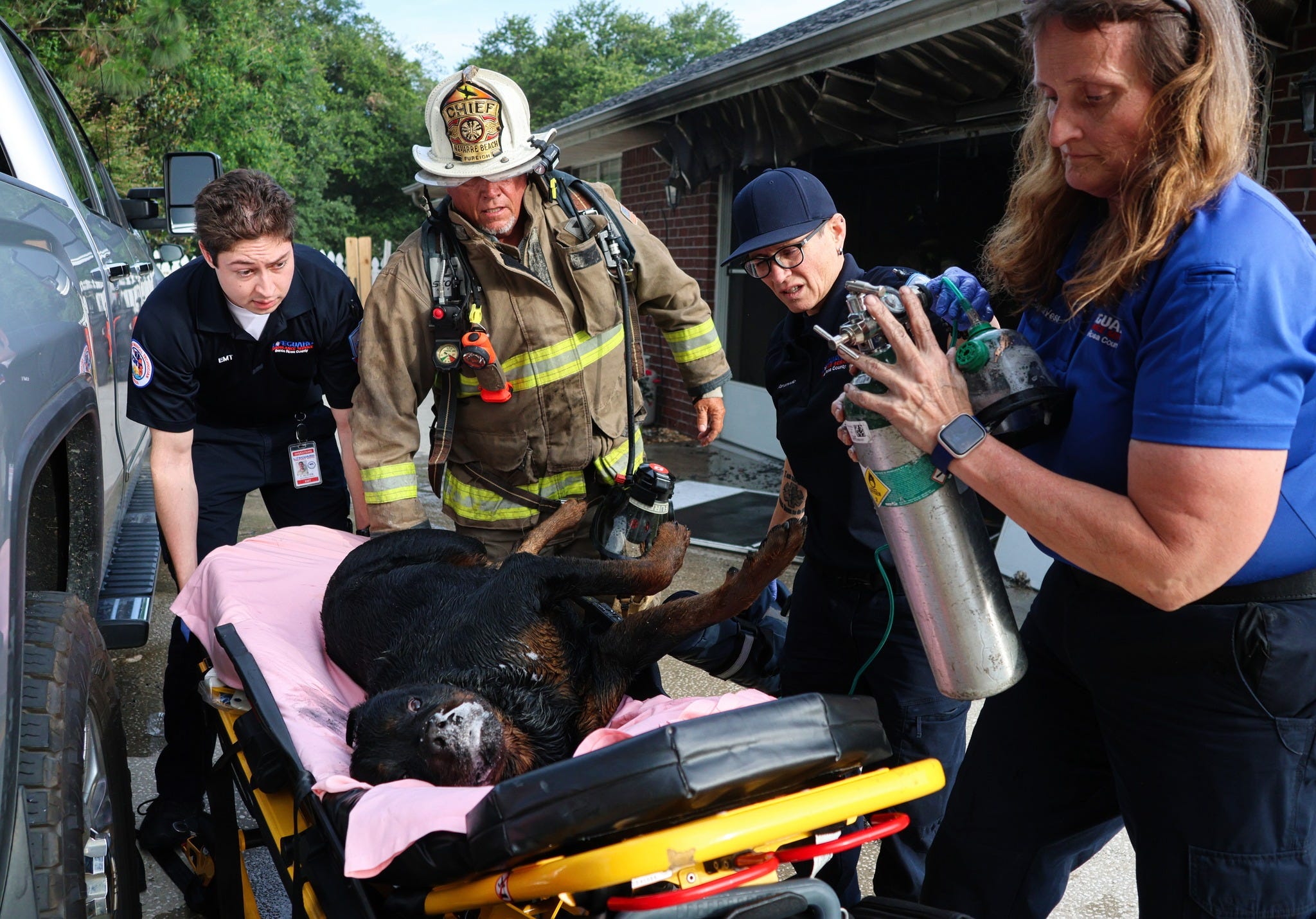Dog saved from smoky death after rescue by Navarre first responders