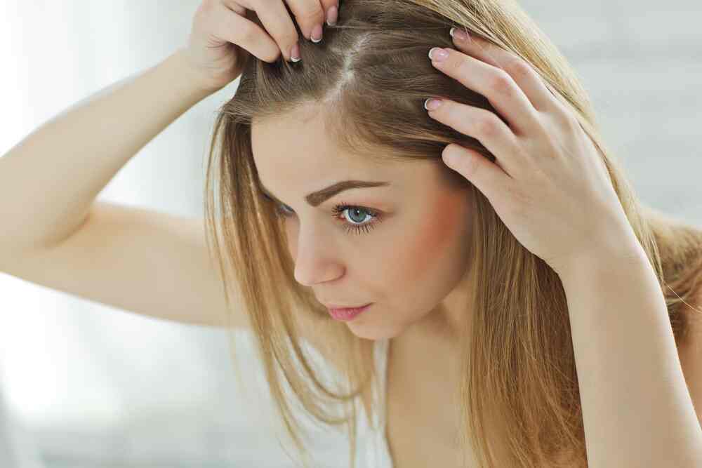 Lice: Types and How to Identify
