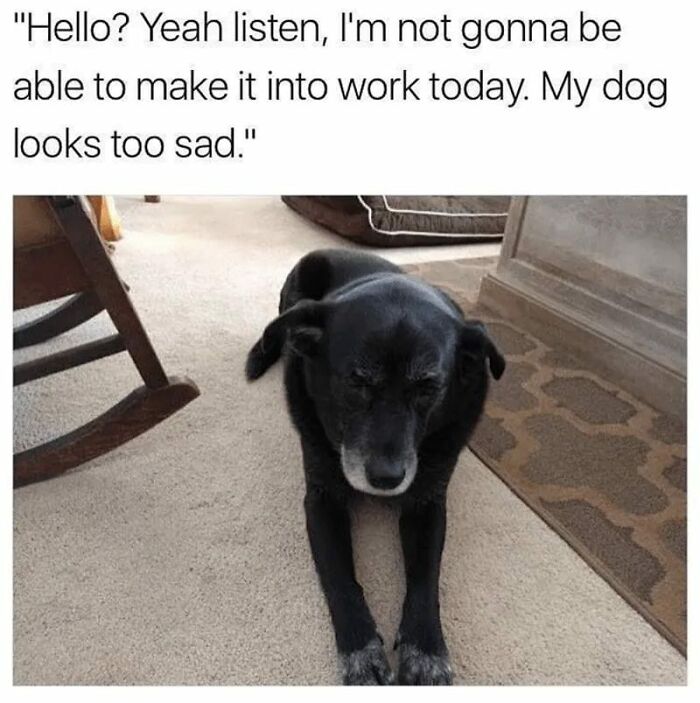 39 Hilarious Memes About Office Life That You’ll Probably Want To Share ...