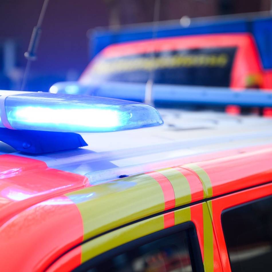 Zwei Männer in Oberbayern am seltenen Borna-Virus erkrankt