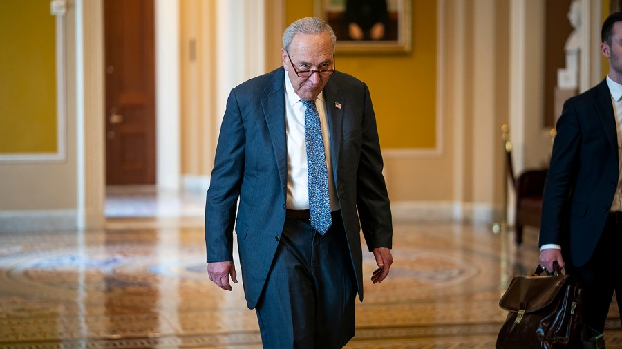 Schumer vows to fight GOP megabill ‘with everything we’ve got’